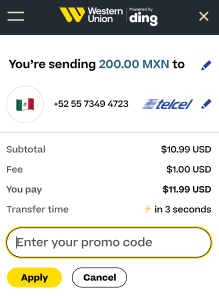 How to add a promo code? – WU powered by Ding