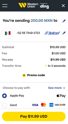 How to add a promo code? – WU powered by Ding