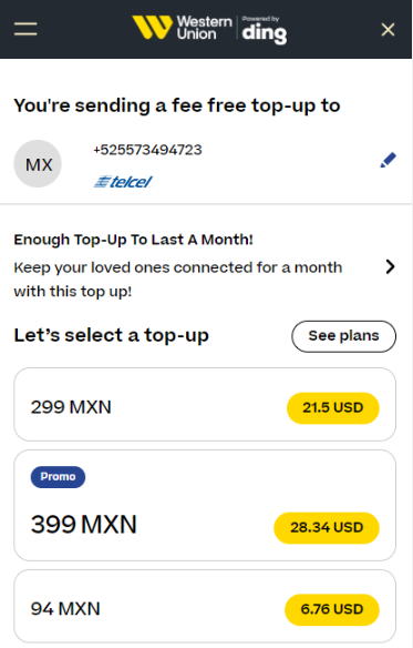 How to top-up? – WU powered by Ding